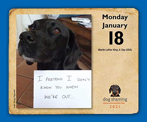 Dog Shaming 2021 Day-to-Day Calendar