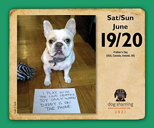 Dog Shaming 2021 Day-to-Day Calendar