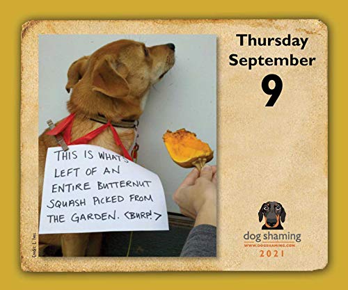 Dog Shaming 2021 Day-to-Day Calendar
