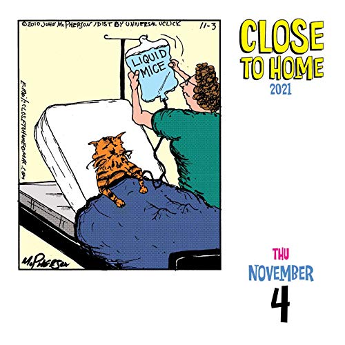 Close to Home 2021 Day-to-Day Calendar