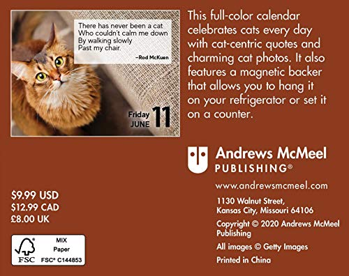 Cats 2021 Mini Day-to-Day Calendar