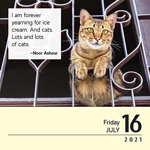 Cats 2021 Day-to-Day Calendar