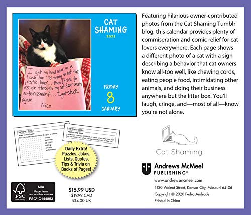 Cat Shaming 2021 Day-to-Day Calendar