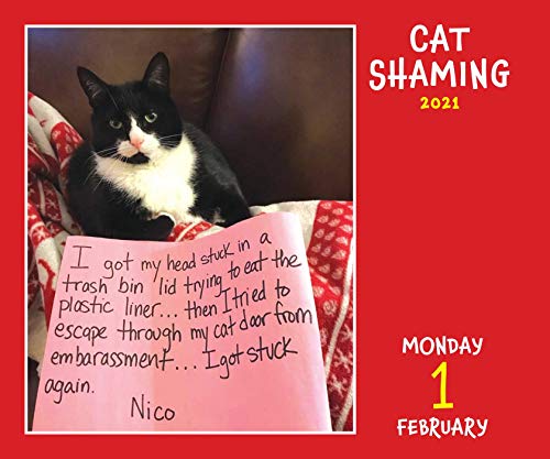Cat Shaming 2021 Day-to-Day Calendar