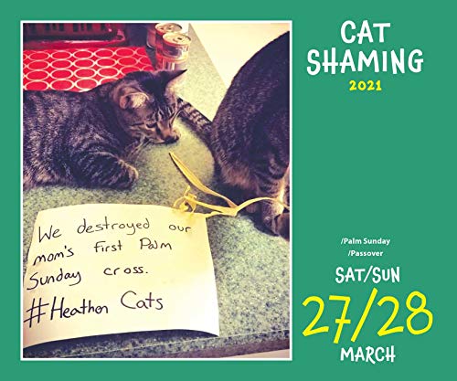 Cat Shaming 2021 Day-to-Day Calendar