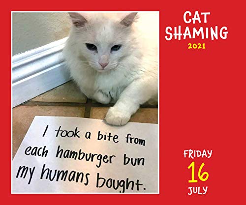 Cat Shaming 2021 Day-to-Day Calendar