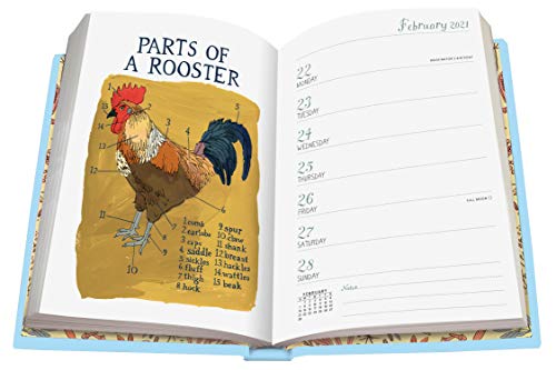 Julia Rothman: Farm, Food, Nature Engagement Calendar 2021