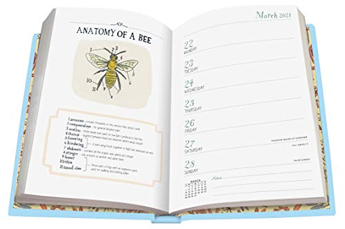 Julia Rothman: Farm, Food, Nature Engagement Calendar 2021