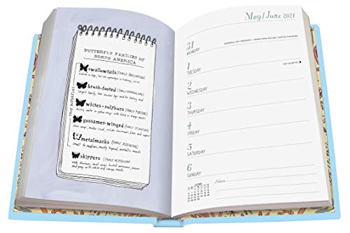 Julia Rothman: Farm, Food, Nature Engagement Calendar 2021