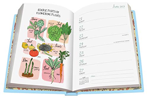 Julia Rothman: Farm, Food, Nature Engagement Calendar 2021