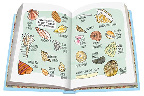 Julia Rothman: Farm, Food, Nature Engagement Calendar 2021