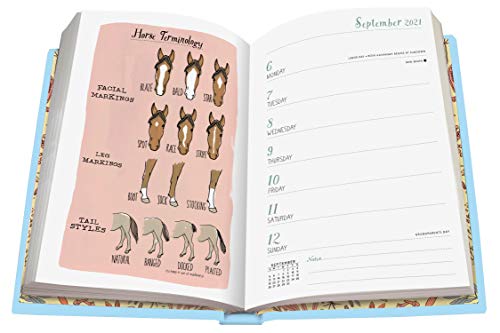 Julia Rothman: Farm, Food, Nature Engagement Calendar 2021