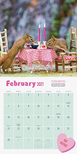 The Secret Life of Squirrels Wall Calendar 2021