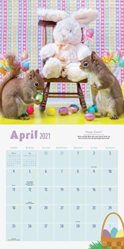 The Secret Life of Squirrels Wall Calendar 2021