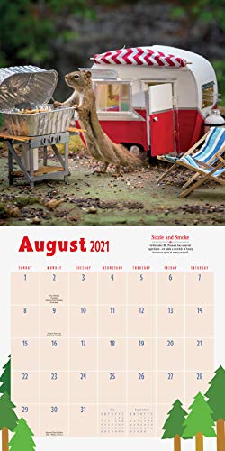 The Secret Life of Squirrels Wall Calendar 2021