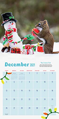 The Secret Life of Squirrels Wall Calendar 2021