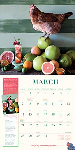 Drinking with Chickens Wall Calendar 2021
