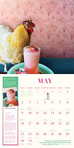 Drinking with Chickens Wall Calendar 2021