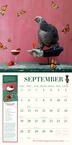 Drinking with Chickens Wall Calendar 2021