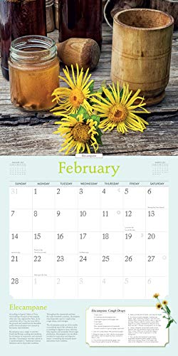 Rosemary Gladstar's Herbs Wall Calendar 2021