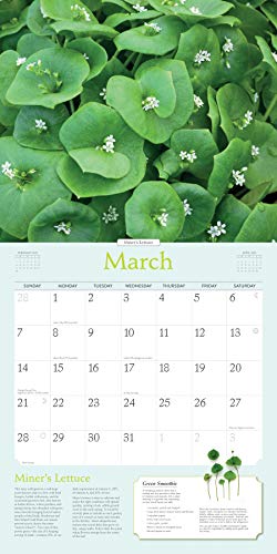 Rosemary Gladstar's Herbs Wall Calendar 2021