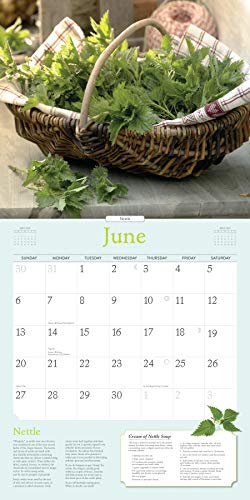 Rosemary Gladstar's Herbs Wall Calendar 2021