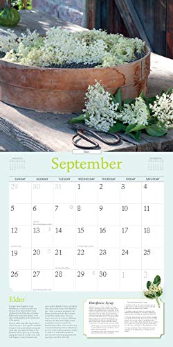 Rosemary Gladstar's Herbs Wall Calendar 2021