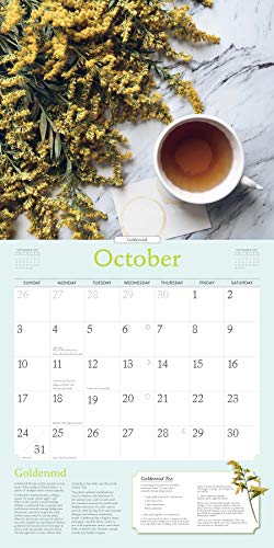 Rosemary Gladstar's Herbs Wall Calendar 2021