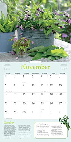 Rosemary Gladstar's Herbs Wall Calendar 2021