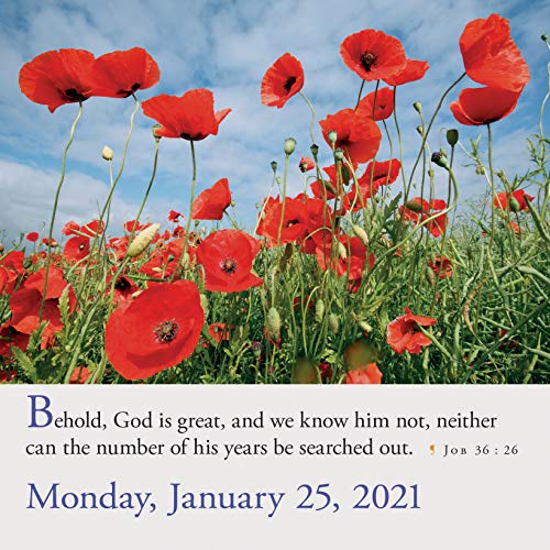 365 Bible Verses-A-Year Page-A-Day Calendar 2021