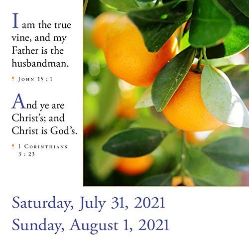 365 Bible Verses-A-Year Page-A-Day Calendar 2021