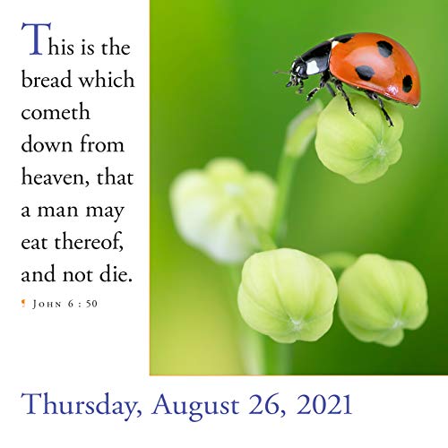 365 Bible Verses-A-Year Page-A-Day Calendar 2021