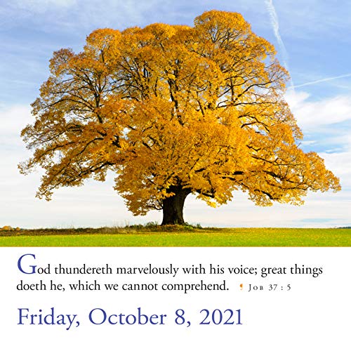 365 Bible Verses-A-Year Page-A-Day Calendar 2021