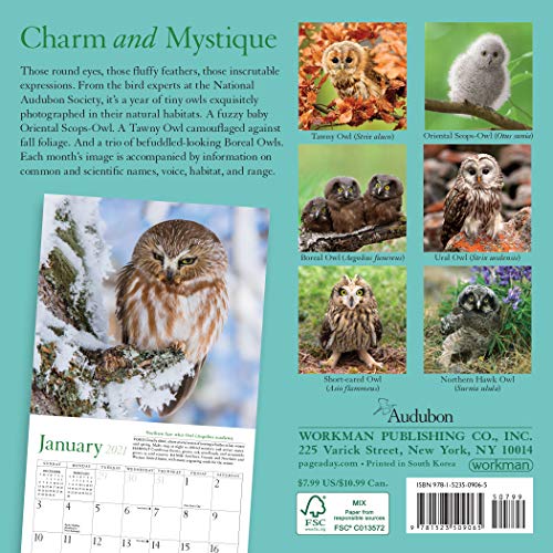 Audubon Little Owls Mini Wall Calendar 2021