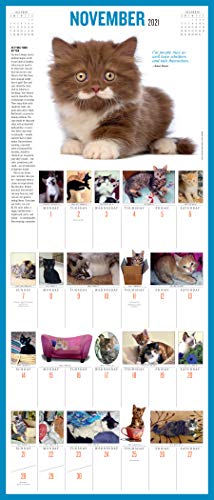 365 Kittens-A-Year Picture-A-Day Wall Calendar 2021