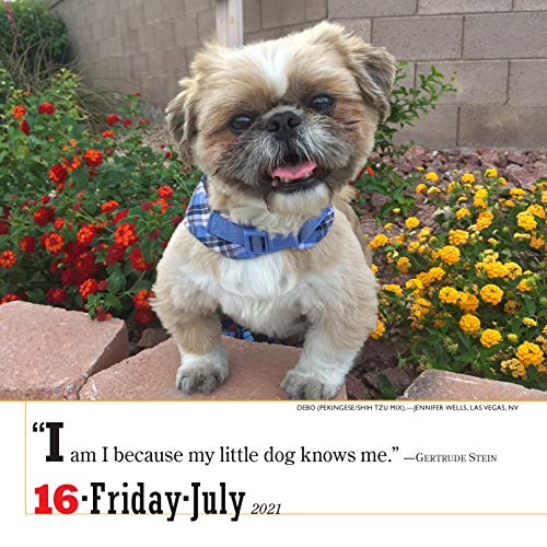 365 Dogs Page-A-Day Calendar 2021
