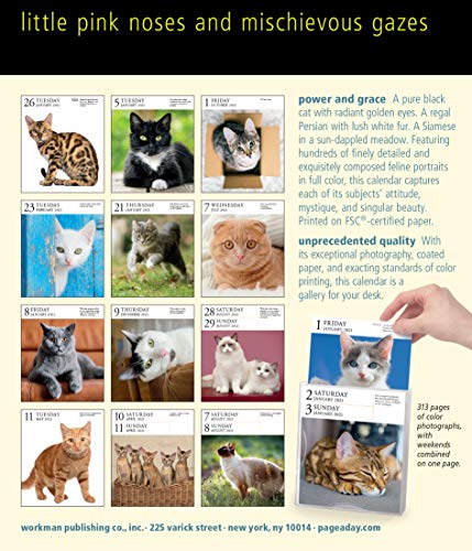 Cat Page-A-Day Gallery Calendar 2021
