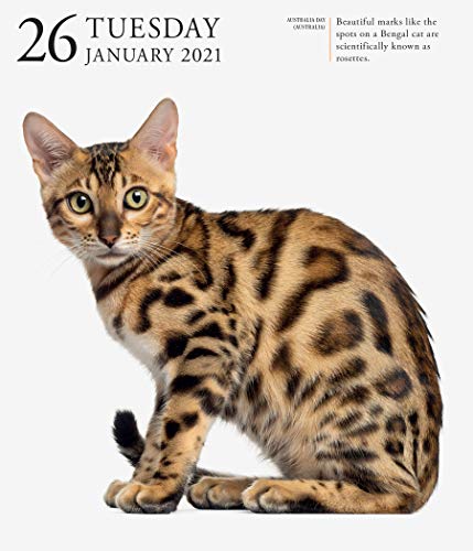 Cat Page-A-Day Gallery Calendar 2021