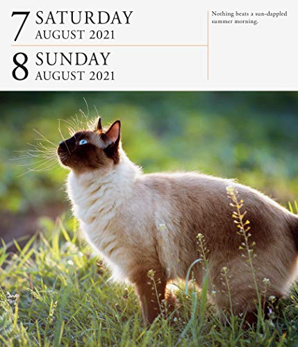 Cat Page-A-Day Gallery Calendar 2021