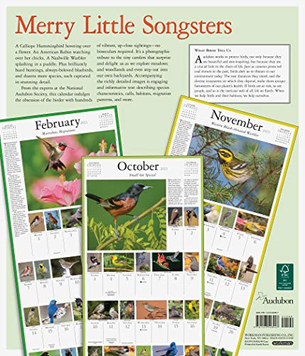 Audubon Songbirds and Other Backyard Birds Picture-A-Day Wall Calendar 2021