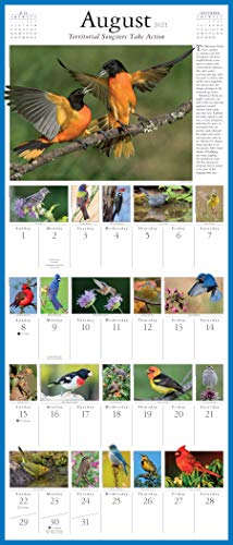 Audubon Songbirds and Other Backyard Birds Picture-A-Day Wall Calendar 2021