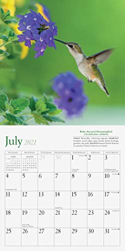 Audubon Songbirds Mini Wall Calendar 2021