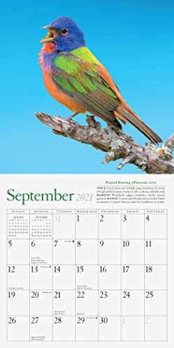 Audubon Songbirds Mini Wall Calendar 2021