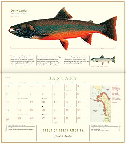 Trout of North America Wall Calendar 2021