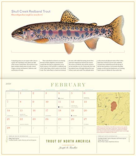 Trout of North America Wall Calendar 2021