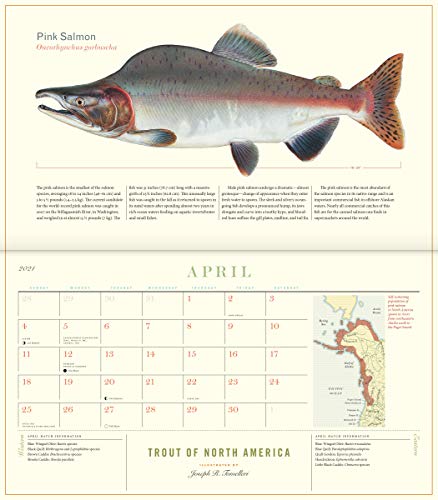 Trout of North America Wall Calendar 2021