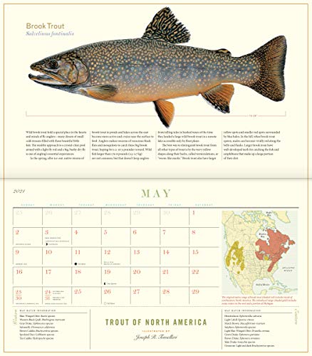 Trout of North America Wall Calendar 2021