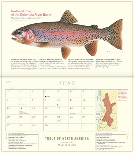 Trout of North America Wall Calendar 2021