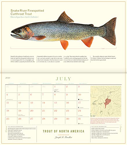 Trout of North America Wall Calendar 2021