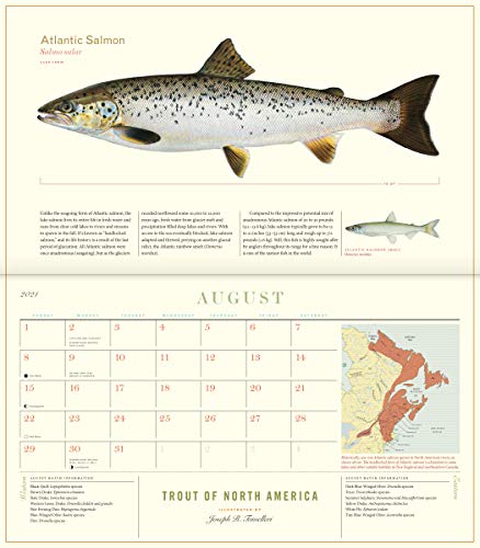 Trout of North America Wall Calendar 2021